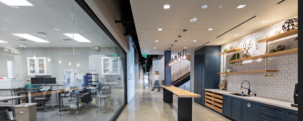 San Diego Lab Space | JLL Life Sciences Tenant Advisory